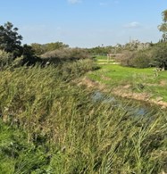 נחל אלכסנדר - אופנים לכל המשפחה - Tour de Israel